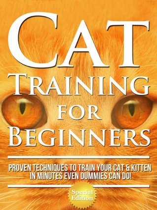Cat Training For Beginners: Proven Techniques To Train Your Cat ...