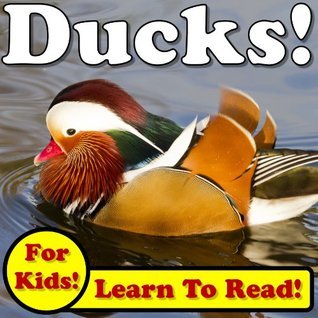 Ducks! Learn About Ducks While Learning To Read - Duck Photos And Facts ...