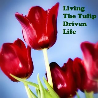 The Calvinist Cage Stage Elixir : Overcoming Your Cage Stage Rage Phase ...