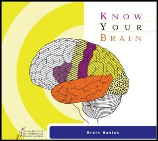 Know Your Brain - Brain Basic Guide by U.S. Department of Health and ...