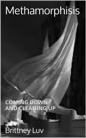 Methamorphisis by Brittney Luv | Goodreads