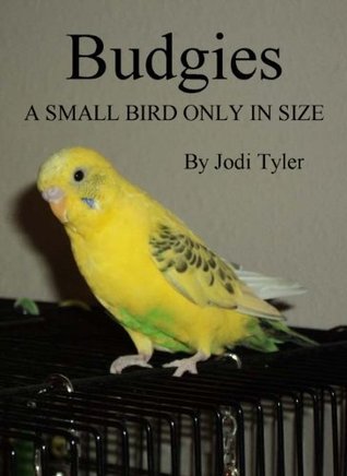 Budgies: A Small Bird Only In Size by Jodi Tyler | Goodreads