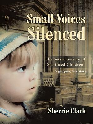 Small Voices Silenced: The Secret Society of Sacrificed Children by ...