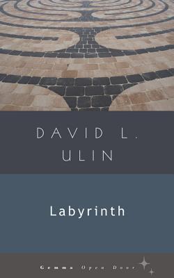 Labyrinth by David L. Ulin | Goodreads