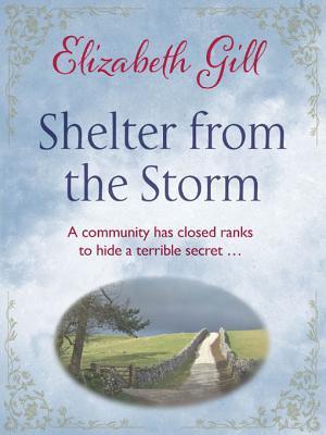 Shelter from the Storm by Elizabeth Gill | Goodreads