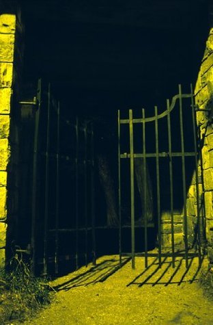 The Dead Walk Among The Living: Book 5 by Keith Luethke | Goodreads