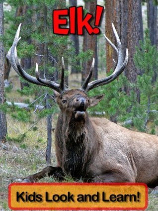 Elk! Learn About Elk and Enjoy Colorful Pictures - Look and Learn! by ...