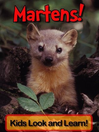 Martens! Learn About Martens and Enjoy Colorful Pictures - Look and ...