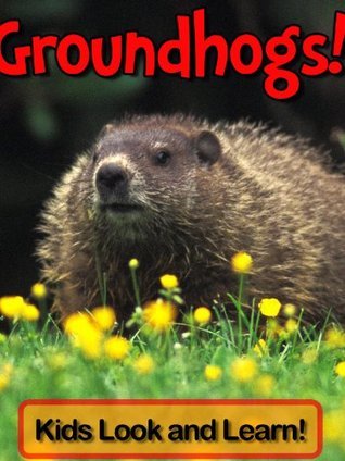 Groundhogs! Learn About Groundhogs and Enjoy Colorful Pictures - Look and Learn! by Becky Wolff ...