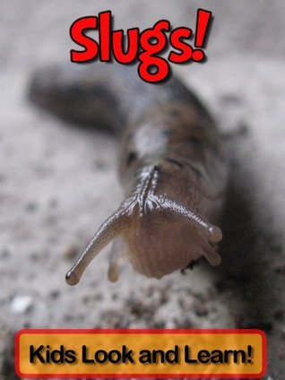 Slugs! Learn About Slugs and Enjoy Colorful Pictures - Look and Learn ...