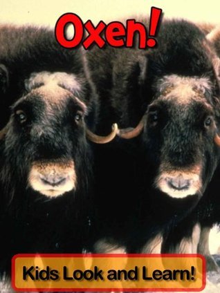 Oxen! Learn About Oxen and Enjoy Colorful Pictures - Look and Learn! by ...