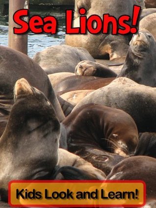 Sea Lions! Learn About Sea Lions and Enjoy Colorful Pictures - Look and ...
