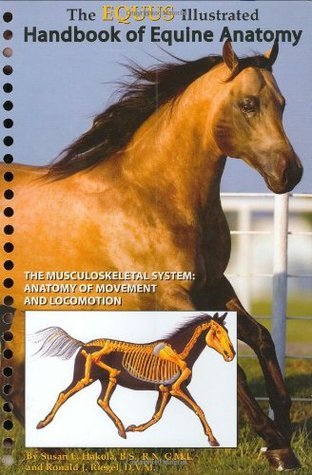 The Equus Illustrated Handbook Of Equine Anatomy: The Musculoskeletal ...