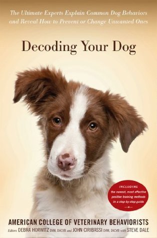 Decoding Your Dog: Explaining Common Dog Behaviors and How to Prevent ...