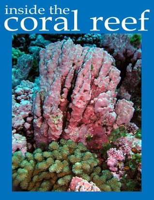 Coral Reef: Beautiful picture book by Brian Jenkins | Goodreads