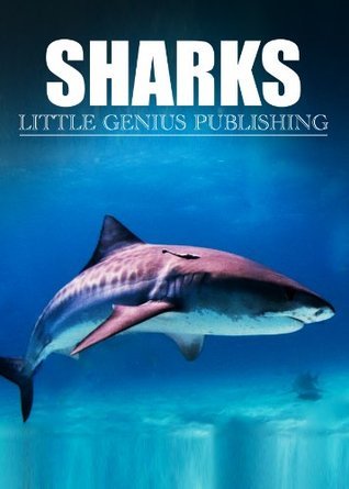 Sharks - All about Sharks Children's Picture Book by Little Genius ...