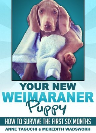Your New Weimaraner Puppy: How to Survive the First Six Months by Anne ...