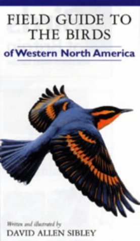 Field Guide to Birds of Western North America by David Allen Sibley ...