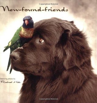New-found-friends by Rachael Hale | Goodreads