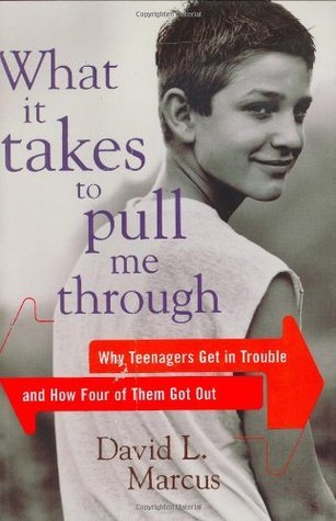 What It Takes to Pull Me Through: Why Teenagers Get in Trouble and How ...