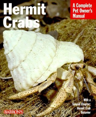 Hermit Crabs: Everything About Anatomy, Ecology, Purchasing, Feeding ...