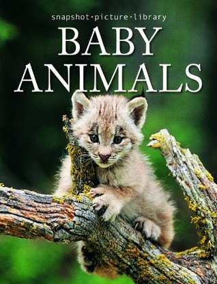Baby Animals (Snapshot Picture Library) by Karen Penzes | Goodreads