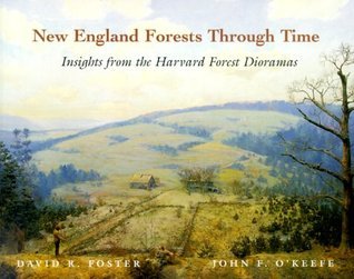 New England Forests Through Time : Insights from the Harvard Forest ...