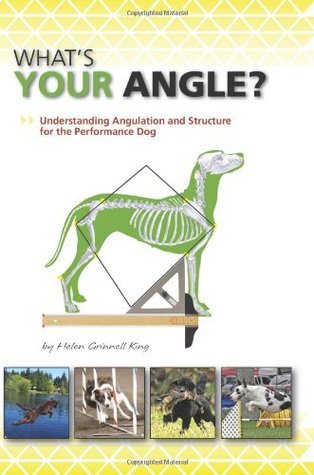 What's Your Angle: Understanding Angulation and Structure for the ...