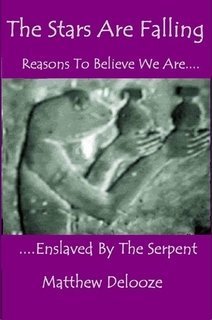 The Stars Are Falling by Matthew Delooze | Goodreads