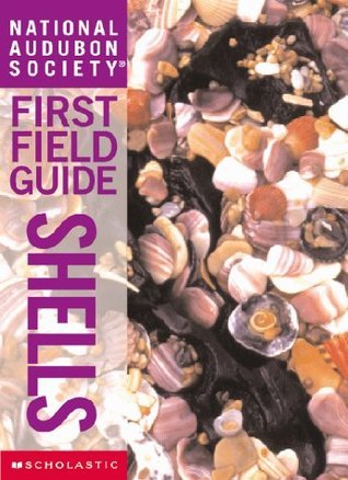 National Audubon Society First Field Guide: Shells by Brian Cassie ...