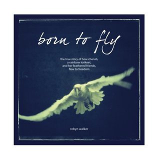 Born To Fly by Robyn Walker | Goodreads