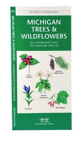 Michigan Trees & Wildflowers: A Folding Pocket Guide to Familiar Plants ...
