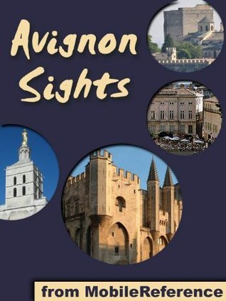 Avignon Sights: a travel guide to the top 15 attractions in Avignon ...