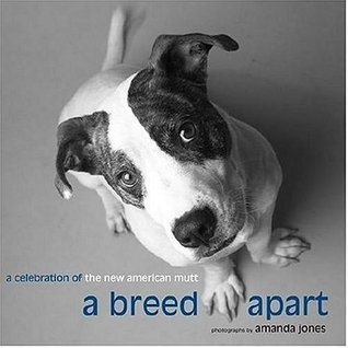 A Breed Apart: A Celebration of the New American Mutt by Amanda Jones ...