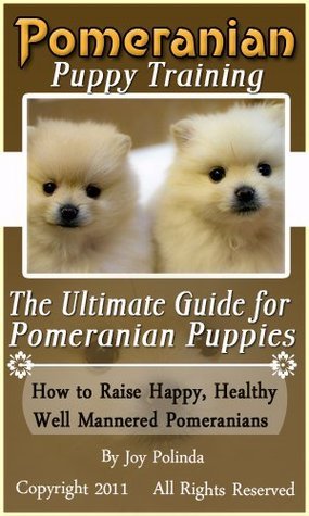 Pomeranian Puppy Training The Ultimate Guide On Pomeranian Puppies: How ...