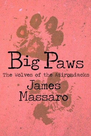Super K: Big Paws by James Massaro | Goodreads