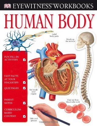 Human Body (DK Eyewitness Workbooks) by D.K. Publishing | Goodreads