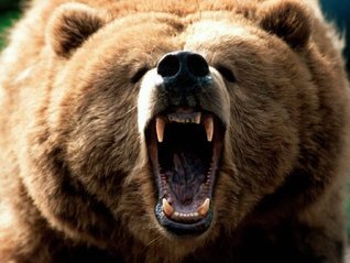Timothy Treadwell: Bear "Expert" Killed By Bears by None | Goodreads