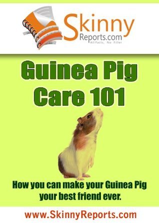 Guinea Pig Care 101: How you can make your Guinea Pig your best friend ...