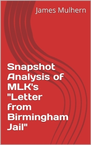 Snapshot Analysis of MLK's Letter from Birmingham Jail by James Mulhern ...