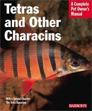 Tetras and Other Characins: Everything About History, Setting Up an ...