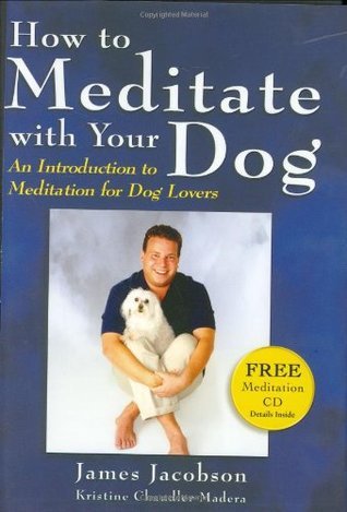 How to Meditate With Your Dog: An Introduction to Meditation for Dog ...