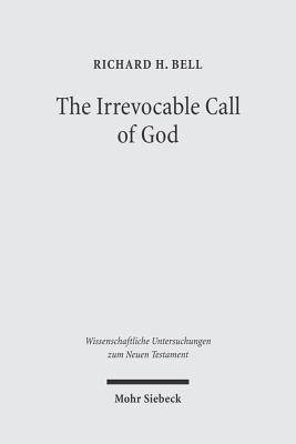 The Irrevocable Call of God: An Inquiry Into Paul's Theology of Israel ...