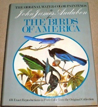 Original Water-Color Paintings by John James Audubon for The Birds Of ...