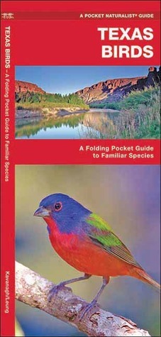 Texas Birds: A Folding Pocket Guide to Familiar Species by James ...