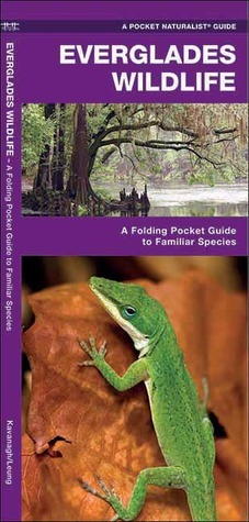 Everglades Wildlife: A Folding Pocket Guide to Familiar Animals by ...