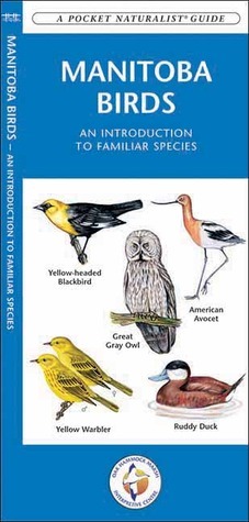 Manitoba Birds: A Folding Pocket Guide to Familiar Species by James ...