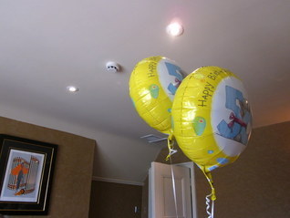 The Pursuit of Emma by Chris Doherty | Goodreads