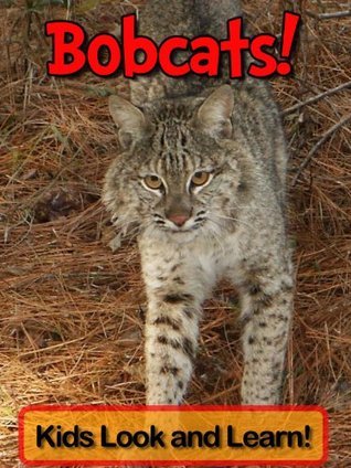 Bobcats! Learn About Bobcats and Enjoy Colorful Pictures - Look and ...
