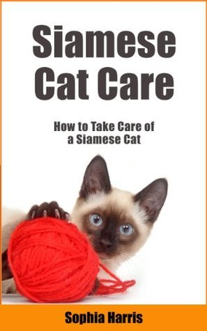 Knowing Siamese Cats: THE SIAMESE CAT & KITTEN ESSENTIAL GUIDE. by ...